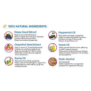 Complete Oral Care from The Founders of PetzLife - 4 oz (Peppermint Gel)