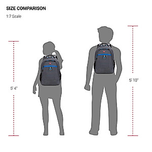 SwissGear 5918 Laptop Backpack, Grey, 17.75-Inch