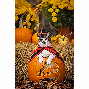 Heureppy Halloween Cat Costume Cloak Witch Hat Accessories Adjustable Bats Pet Clothes Set, Pat for Cats Dogs Animal Carnival Party Supplies