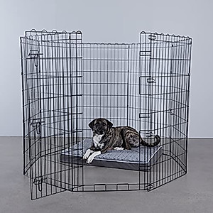 Amazon Basics Foldable Metal Exercise Pet Play Pen for Dogs, Single Door, 60 x 60 x 48 Inches, Black