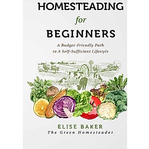 Homesteading for Beginners: A Budget-Friendly Path to A Self-Sufficient Lifestyle