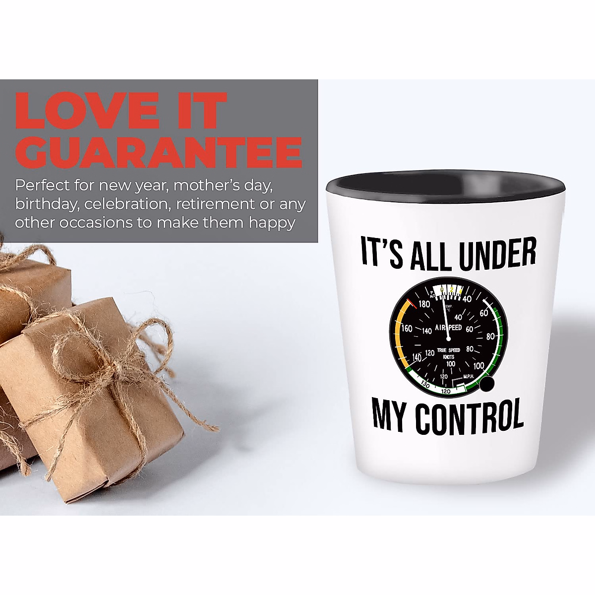 Bubble Hugs Pilot Shot Glass 1.5oz - It's All Under My Control - Airplane Job Flight Deck Staff Worker Sky Fly Captain Private Jet Aviator Career