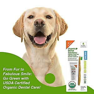 Pure and Natural Pet Organic Dental Solutions USDA Certified Organic Large Kit (.8 oz Canine Tooth Gel with Eco-Friendly Bamboo Toothbrush).