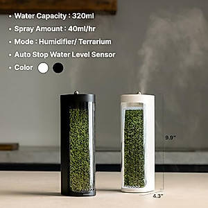 Mosslab Moss Air - Living Moss Humidifier | Aesthetic & Relaxing | Mindfulness & Meditation | Easy-Care Indoor Plants | Terrarium & Tabletop Decor | Mist Waterfall | Portable & Whisper-Quiet