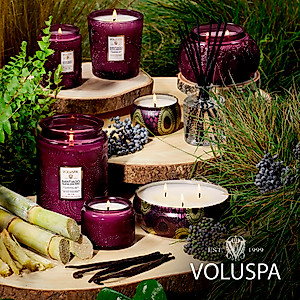 Voluspa Santiago Huckleberry, Petite Candle Jar, 3.2 Ounce, 25 Hour Burn Time, All Natural Wicks and Coconut Wax for Clean Burning, Vegan, Poured in the USA