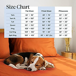 LuxClub 6 PC Queen Sheet Set, Bed Sheets Queen Size, Deep Pockets 18" Eco Friendly Wrinkle Free Cooling Sheets Machine Washable Hotel Bedding Silky Soft - Autumn Orange Queen