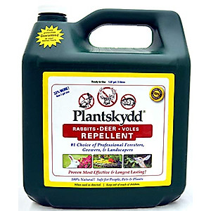 Plantskydd Animal Repellent - Repels Deer, Rabbits, Elk, Moose, Hares, Voles, Squirrels, Chipmunks and Other Herbivores; Ready to Use Liquid - 1.3 Gallon Jug (PS-5L)