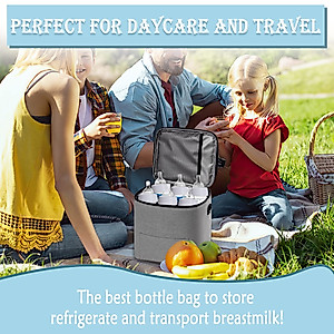 Breastmilk Cooler Bag with Ice Pack Reusable Storage Bags, Fit 6 Baby Bottles, Insulated Baby Bottle Cooler Bag Suitable for Nursing Mom Daycare, Waterproof with Zipper Pocket, Grey