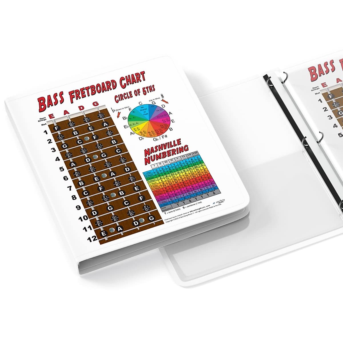 Laminated 4 String Bass Fretboard Notes Chart Nashville Number System & Circle of 5ths Easy Instructional Poster for Beginner for Notebook - A New Song Music 8.5 x 11
