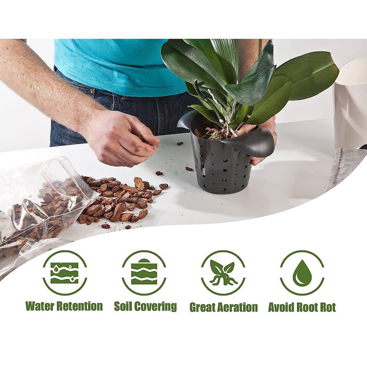 Orchid Bark for Plants Organic Pine Bark for Proper Root Development for Phalaenopsis Cattleyas Dendrobiums Oncidiums Paphiopedilums and More (1qt Medium(12-18mm))