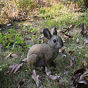 Rabbit Resin Animal Garden Statue Outdoor and Garden Decor Patio Yard (Rabbit 8.5 inch)