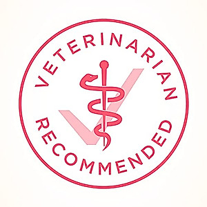 Purina ONE High Protein, Natural Dry Kitten Food, +Plus Healthy Kitten Formula - 3.5 lb. Bag