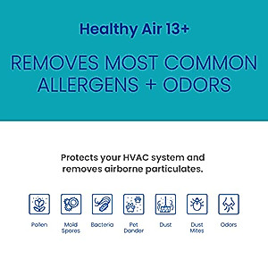 AprilAire 213CBN Replacement Filter for AprilAire Whole House Air Purifiers - MERV 13 with Carbon, Healthy Home Allergy + Odor Reduction, 20x25x4 Air Filter (Pack of 1)