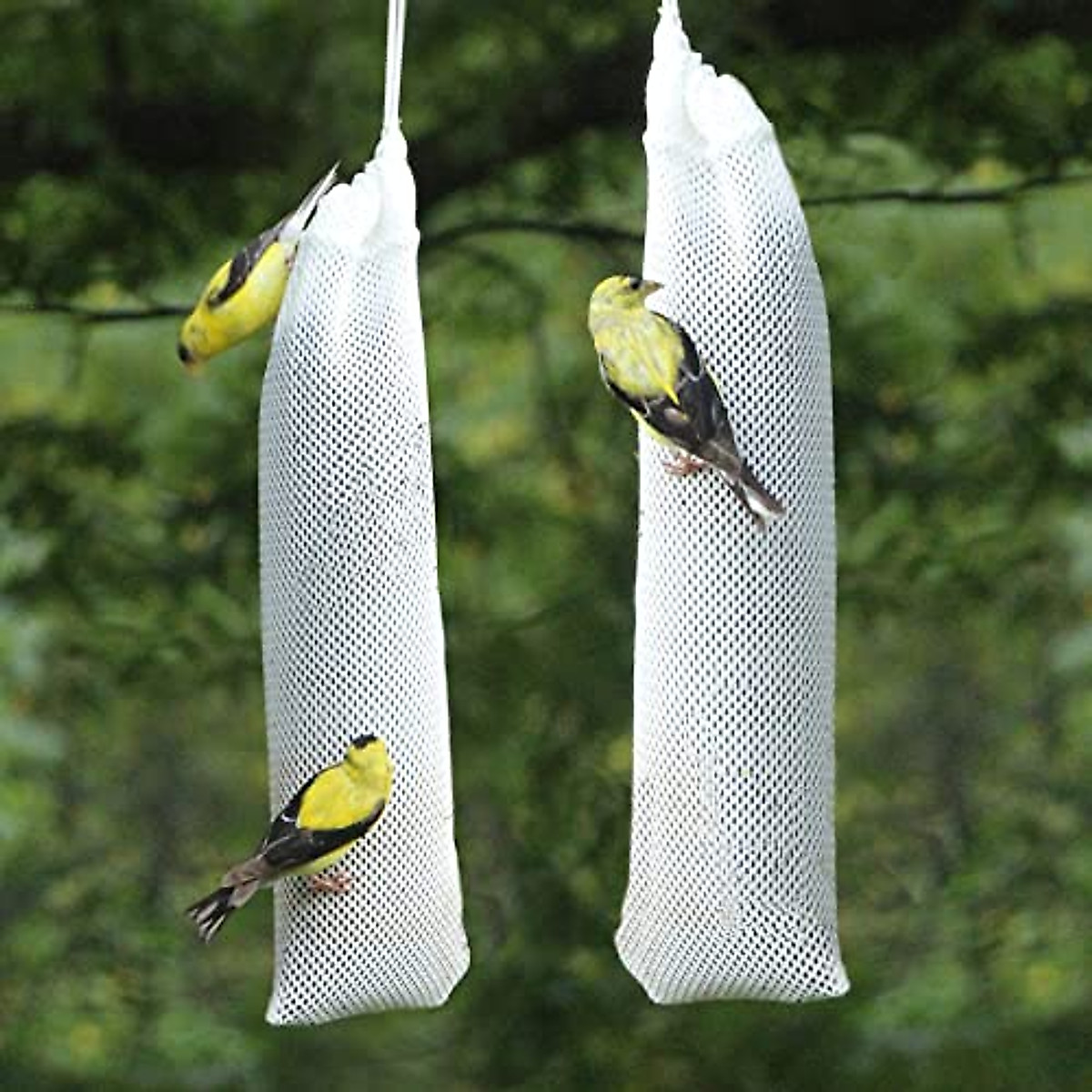 Happy Wings Nyjer/Thistle Seeds Wild Bird Food - (Pack of 2, 13 Ounce x 2) | Prefilled Sock | No Grow Seed | Bird Seeds for Wild Birds