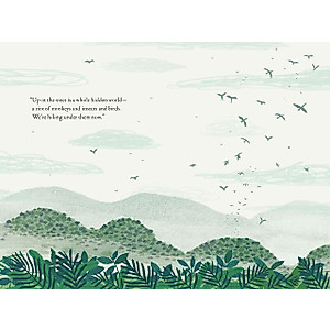 Over and Under the Rainforest