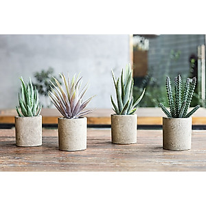 WUKOKU 4 PCS Small Fake Succulents Plants in Ceramic Pots Mini Artificial Potted Succulent Decoration for Desk, Shelves, Office and Home