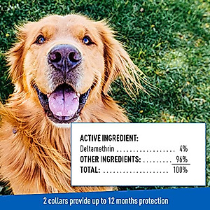 Adams Flea & Tick Collar for Dogs & Puppies |2 Pack |12 Months Protection |Adjustable One Size Collar Fits All Dogs 12 Weeks & Older |Kills Fleas & Ticks |Repels Mosquitoes (excluding California)