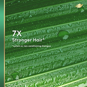 Dove RE+AL Bio-Mimetic Care Shampoo For Damaged Hair Repair Coconut + Vegan Keratin Sulfate-Free Coconut Shampoo 10oz