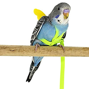 Clpoawc Parrot Bird Harness and Leash Adjustable Bird Harness Leash Outdoor Flying Kit Training Rope for Parrot Budgie Lovebird Cockatiel Macaw Parakeet(Yellow)