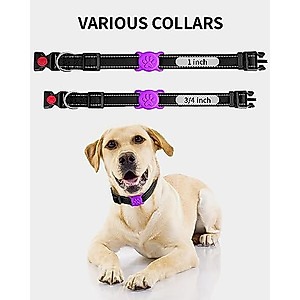 Dynmeow 1 Pack Airtag Dog Collar Holder, Stretchy Silicone Airtag Holder for Dog and Cat Collar, Anti-Lost Dog Airtag Holder Compatible with 3/4 and 1 inch Wide Collar (Purple)