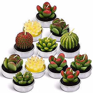Cactus Tea Lights Candles, Terrarium Candle Gift Set for Mothers Day Valentines Day Gifts, Smokeless Handmade Cute Gifts Candles for Home Scented Birthday Wedding Props House Warming Party (12 Packs)