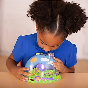 Insect Lore Live Ladybug Growing Kit Toy -unisex-children Original Ladybug Land