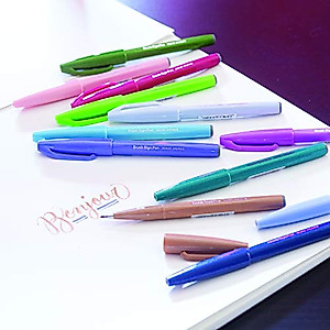 Pentel Arts Sign Pen Brush Tip, Assorted Colors, 12 Pack Box (SES15C2PC12)