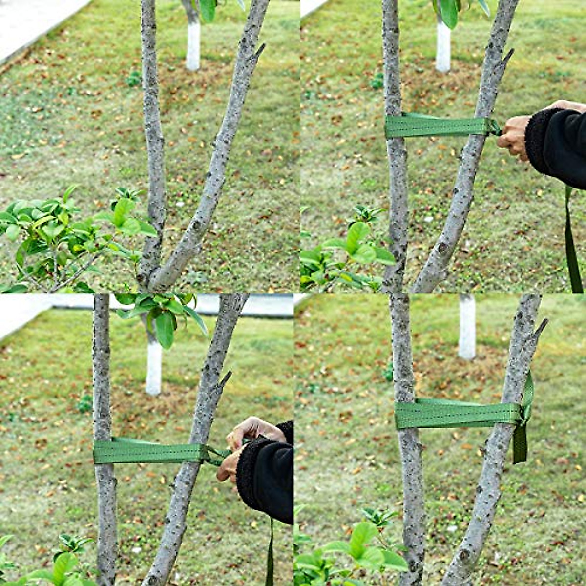Biubee 108 Feet Long 1 Inch Wide Green Tree Tie Strap- Green Staking and Guying Material Garden Tie Plant Tie for Outdoor Use, 1763 Lbs Strength