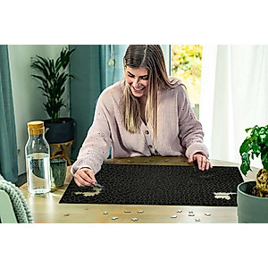 Ravensburger Krypt Black Puzzle - Unique 736-Piece Challenge for Adults | Softclick Technology for Perfect Fit | Engaging Spiral Cut Design | Quality Craftsmanship | Ideal for Relaxation or Gifting