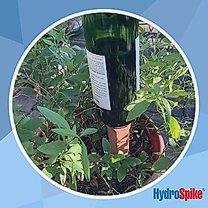 HydroSpike ClaySpike (4-Pack) Plant Terracotta Watering Spikes Kit for Outdoor Pot. 7 Inch Extra Long Stakes. Terra Cotta Self Automatic Slow Hydro Drip Irrigation System. Glass Wine Bottle Waterers