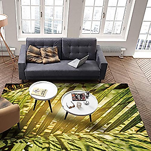 Area Rug 2' x 3' Palm Leaf Carpet Tropical Plants Sunshine Floor Mat Non Slip Runner Rectangle Rugs for Living Room Bedroom