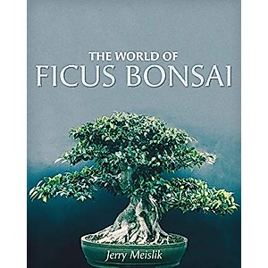 The World of Ficus Bonsai