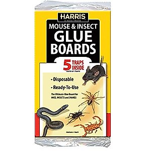 Harris Mouse & Insect Glue Boards, 5 Pre-Baited Traps