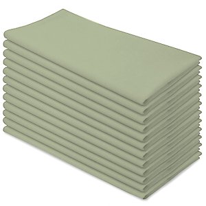 Aunti Em's Kitchen Wrinkle Resistant Dinner Napkins, Oversized 20 x 20 Inches, Set of 12, Sage