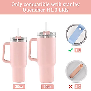 Dasgude Silicone Spill Proof Stopper, 2 Sets Straw Cover Compatible with Stanley Cup 1.0 40oz/30oz, Stanley Cup Accessories with 2 Straw Cover Cap, 2 Square and 2 Round Lid Spill Stopper Plug, 6PCS