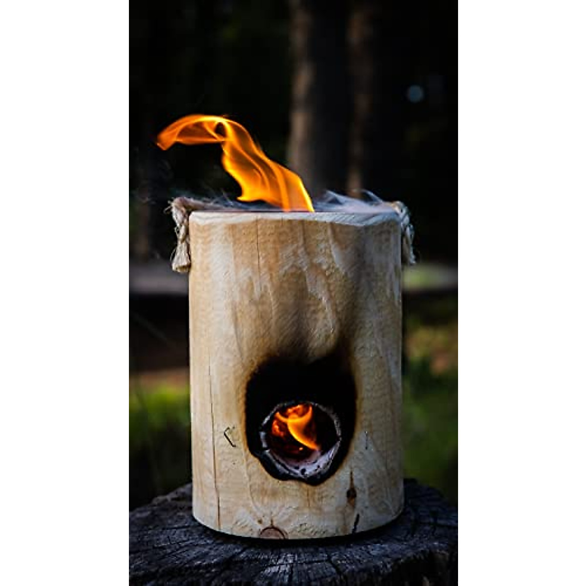 One Log Fire, Mini - Single Log Campfire, 100% Natural Red Pine, Easy Light - 1 Hour Burn Time (3 Pack)