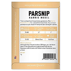 Parsnip Seeds for Planting - Harris Model Heirloom, Non-GMO Vegetable Variety- 1 Gram Approx 200 Seeds Great for Summer, Fall, and Winter Gardens by Gardeners Basics