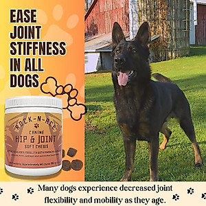 Rock-N-Ace Premium Canine Hip & Joint Support Supplement for Dogs | Glucosamine & Chondroitin MSM Large Dogs Chews | Advanced Mobility Support| Extend Joint Care for Dogs |Vet Recommended | 60 Count