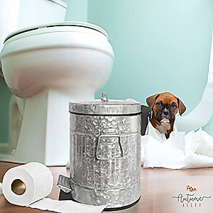 Autumn Alley Farmhouse Bathroom Trash Can - Galvanized Trash Can with Lid and Pedal for Rustic Bathroom, Farmhouse Kitchen Trash Can, Country Home Décor, 5L, 1.3 Gallon, Galvanized Grey