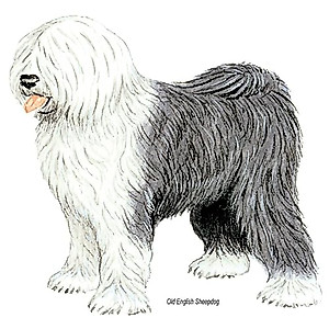 CafePress Old English Sheepdog Stainless Steel Travel Mug 20 oz. Insulated Stainless Steel Coffee Tumbler