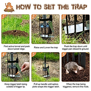 Qualirey 3 Pc Mole Trap for Lawns, Spear Style Mole Killer for Garden Yard Outdoor, Alloy Steel Mechanical Gopher Vole Traps, Quick and Clean