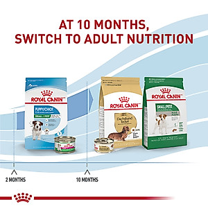 Royal Canin Size Health Nutrition Small Breed Dry Puppy Food, Supports Brain Development, Immune Support, and Digestive Health, 14 lb Bag