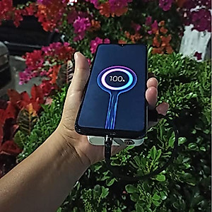 Raosky Magnetic Charging Series (Type-c Tips)/10pc,Magnetic Type-C Tips,Just Charger Tips Without USB Cable&Non-Data
