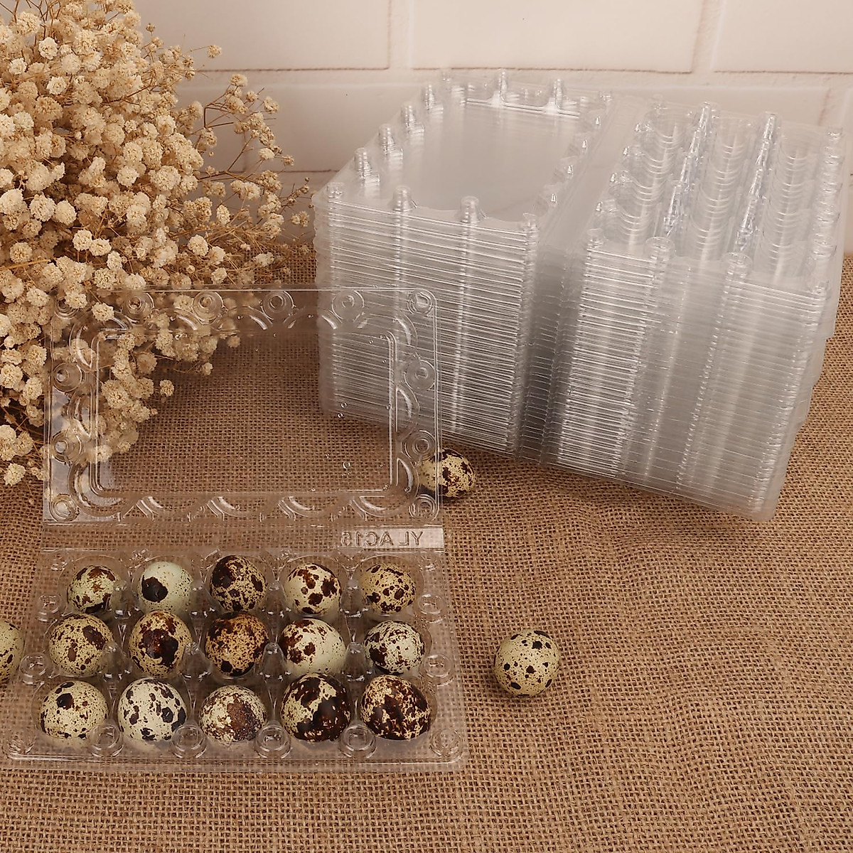 KUKLIPJIM 200 Pack Quail Egg Cartons, Clear Plastic Quail Egg Trays, Holds up to 15 Quail Eggs Securely - Your Ultimate Small Eggs Carton Holders for Bulk Storage and Display