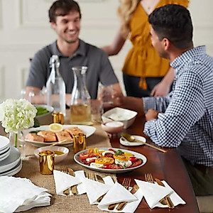 Vanity Fair Entertain Classic Napkins 2 pack (40 ct)