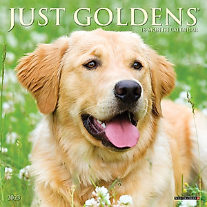 Just Goldens 2023 Mini Wall Calendar