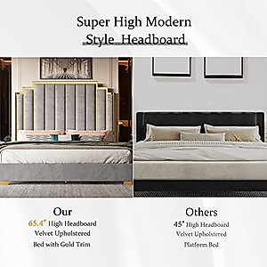 Albott King Size Platform Bed Frame, 65" Velvet Upholstered Bed with Gold Trim Headboard/Wooden Slats/No Box Spring Needed/Grey