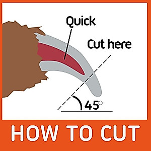 GoPets Pet Nail Clipper for Large Dogs and Cats with Nail File and Quick Sensor Safety Guard, Orange / Black