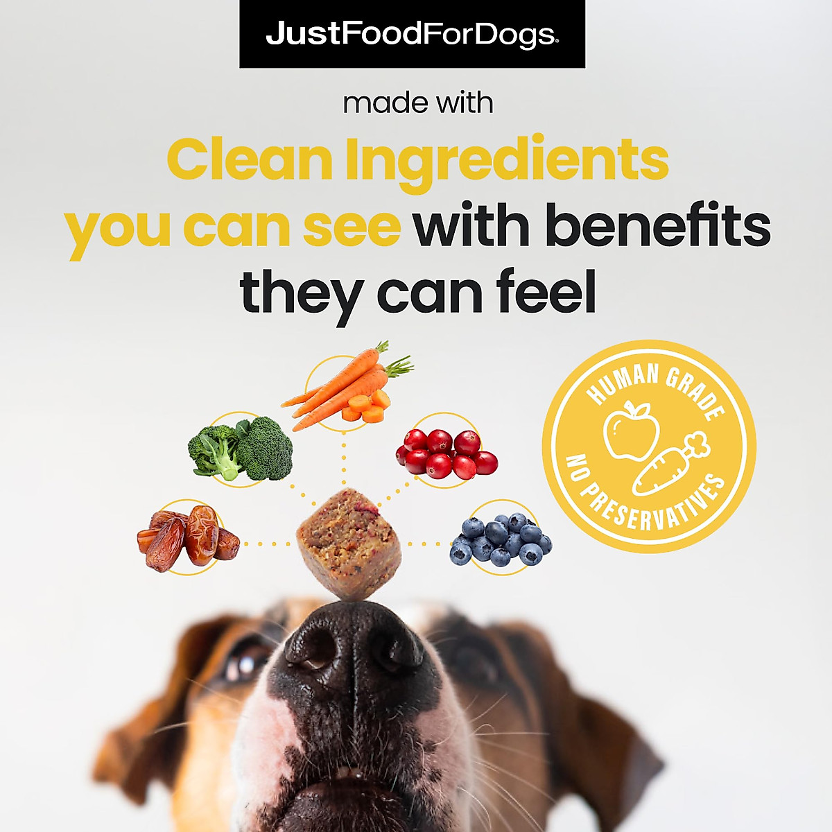 JustFoodForDogs Hip + Joint Soft Chews Mobility Supplement for Dogs with Glucosamine and Chondroitin, Superfood Blend, Human Grade, Plant-Based - 45 Count