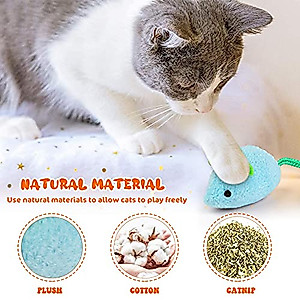 Catnip Toy - 6Pcs Cats Mouse Plush Cat Toys Realistic Cute Kitten Mice Filled Catnip for Cat Chew Toy1